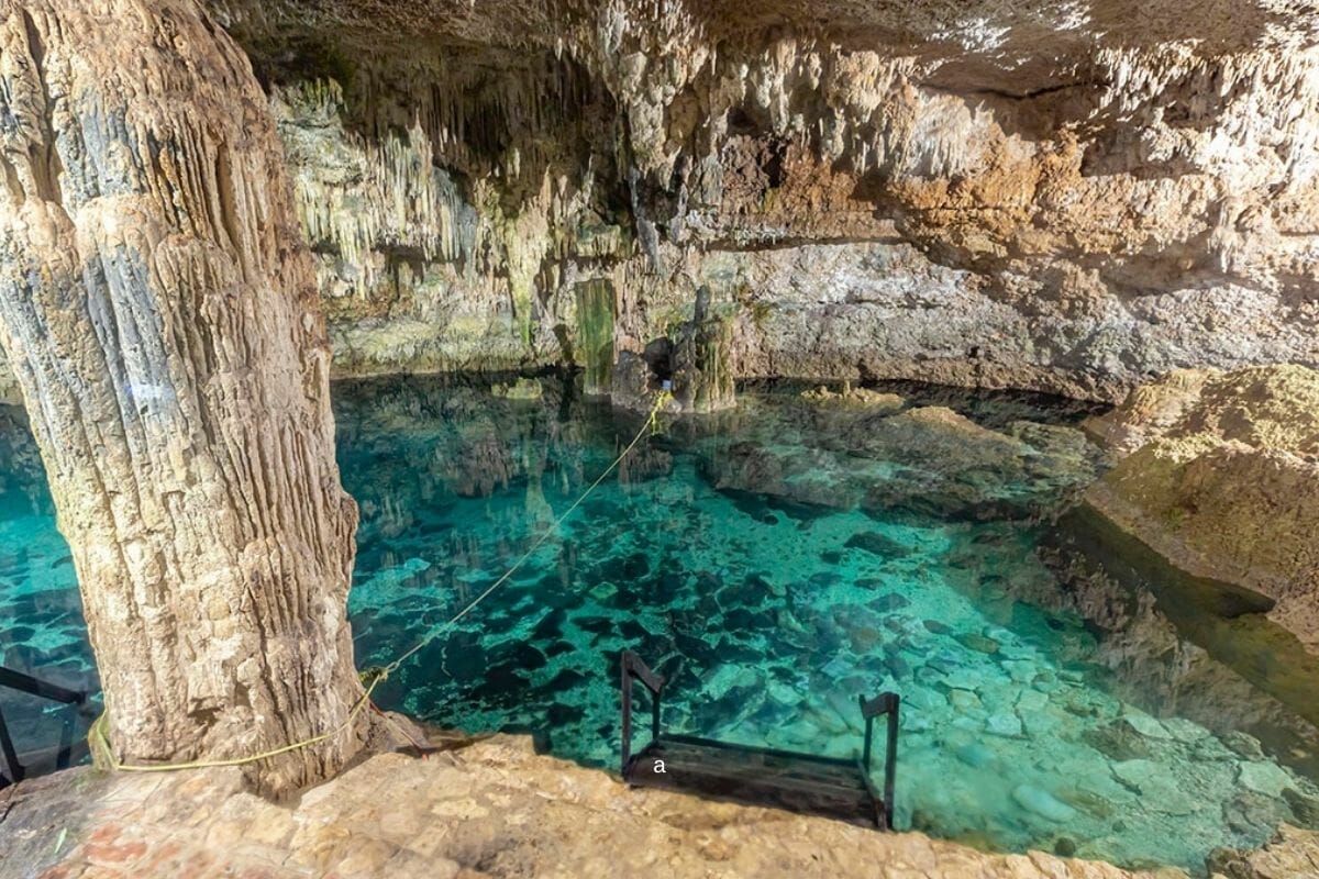 The 25 Best Cenotes in Cancun That You Don’t Want to Miss