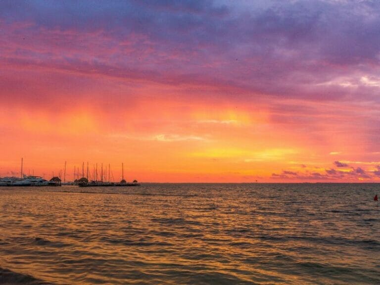 Cancun’s Top Areas Compared: Hotel Zone vs Downtown vs Playa Mujeres vs ...