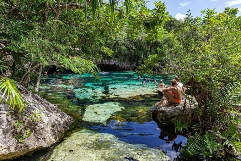 25 Species of animals in Cancun: Discover Mexico Wildlife