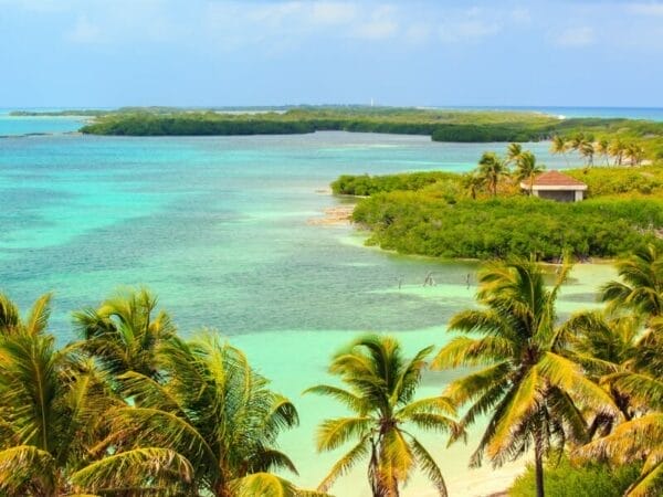 The Complete Guide to Contoy Island + 7 Best Tours