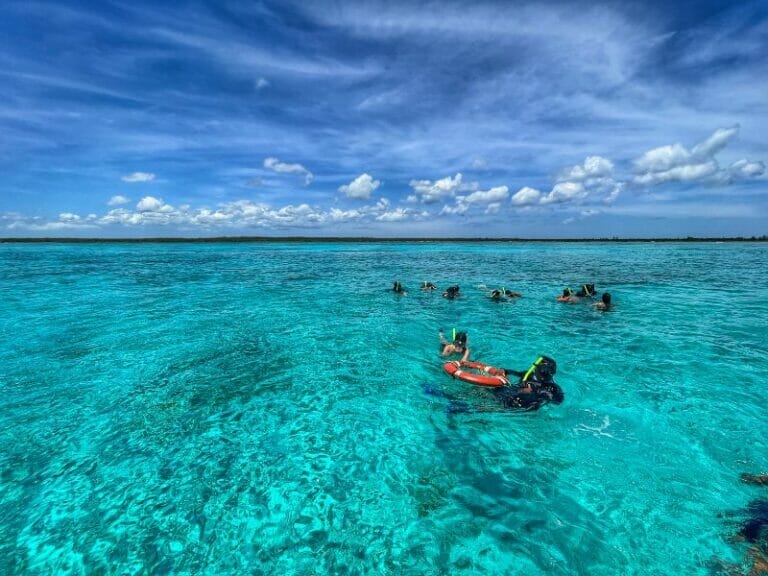 13 Best Cancun Snorkeling Tours That You Don't Want to Miss