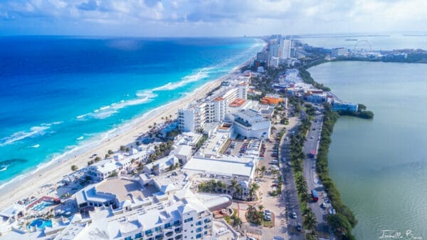 25 Species of animals in Cancun: Discover Mexico Wildlife