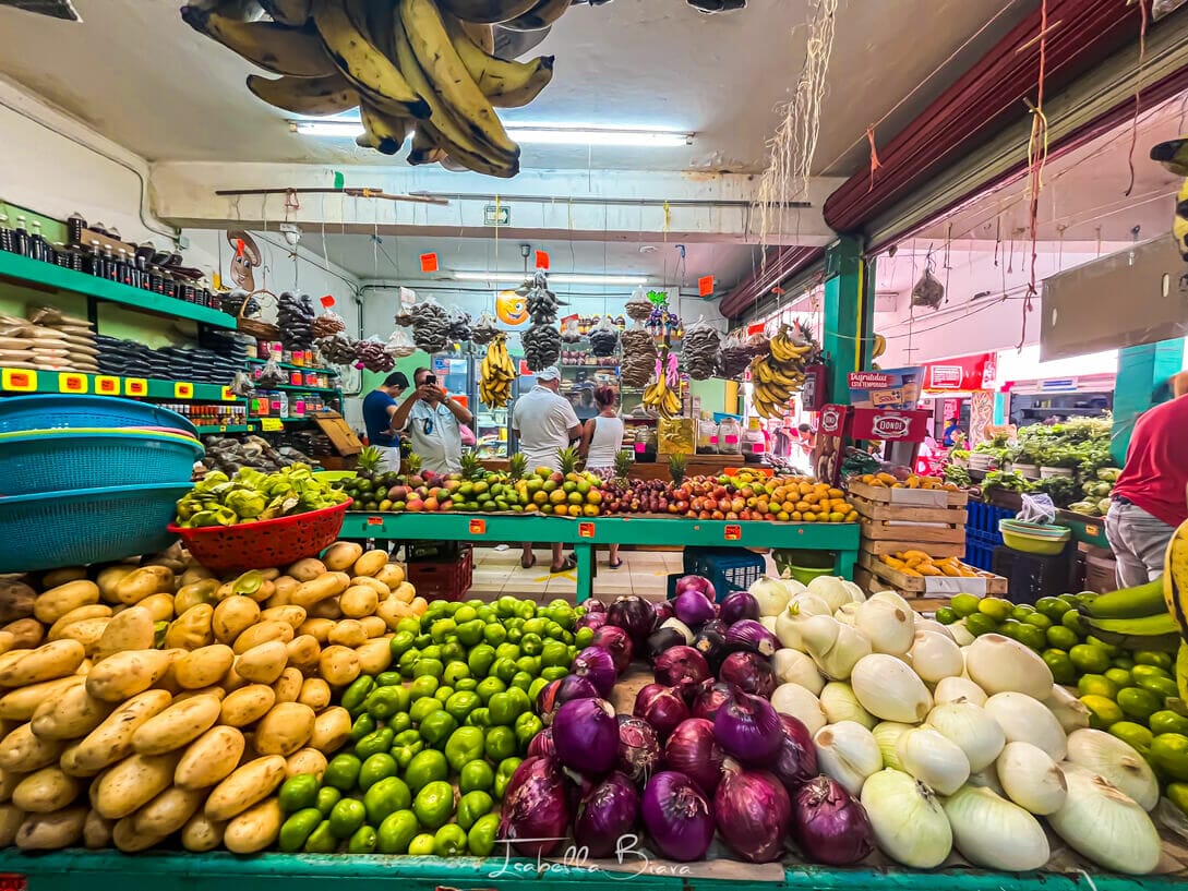 13 Best Things to Do in Downtown Cancun: Attractions + Tips