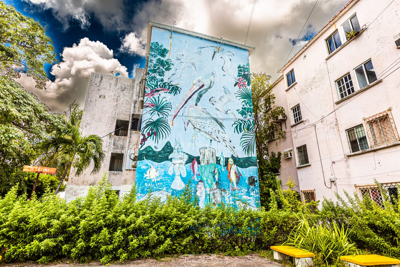 13 Best Things to Do in Downtown Cancun: Attractions + Tips