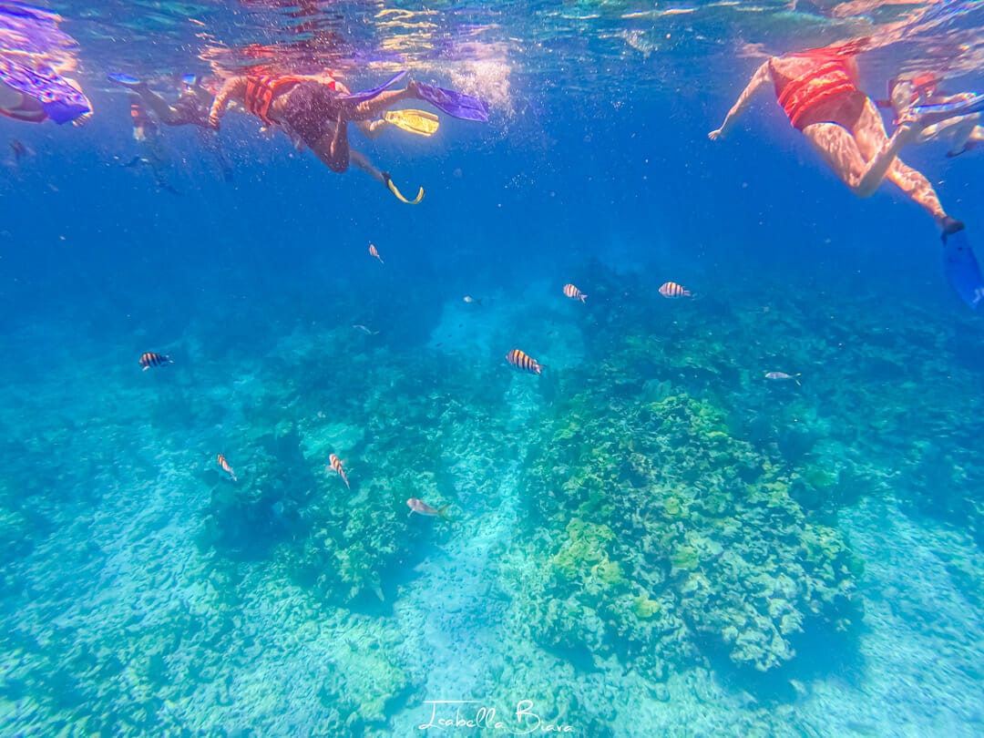 13 Best Cancun Snorkeling Tours That You Don't Want to Miss