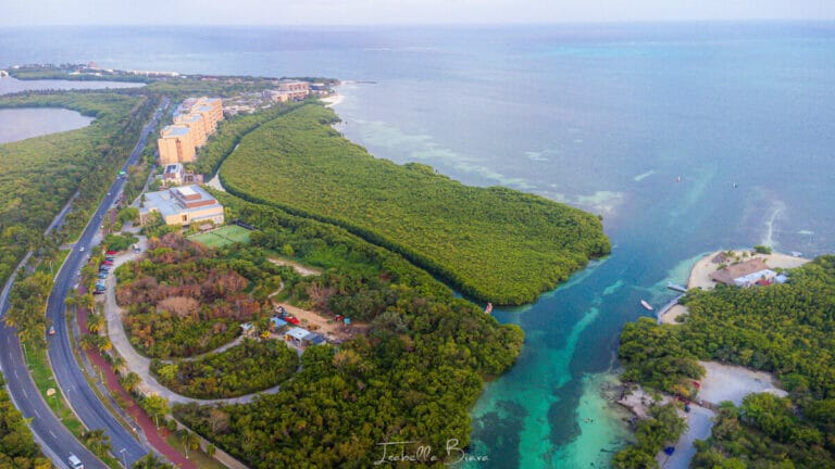 13 Best Things to Do in Downtown Cancun: Attractions + Tips