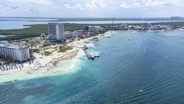 25 Species of animals in Cancun: Discover Mexico Wildlife