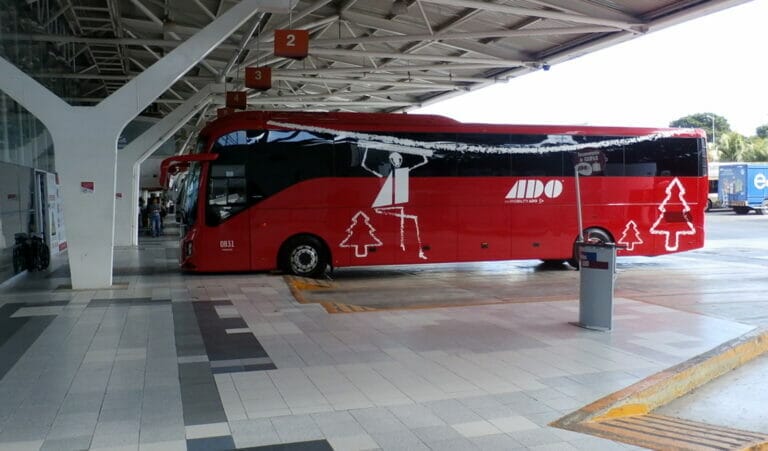ADO Bus Cancun Guide: How to Move Around on ADO Buses