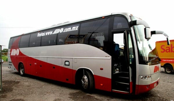 ADO Bus Cancun Guide: How to Move Around on ADO Buses