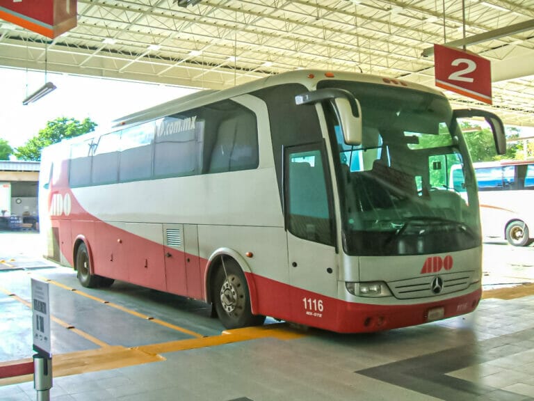 ADO Bus Cancun Guide: How to Move Around on ADO Buses