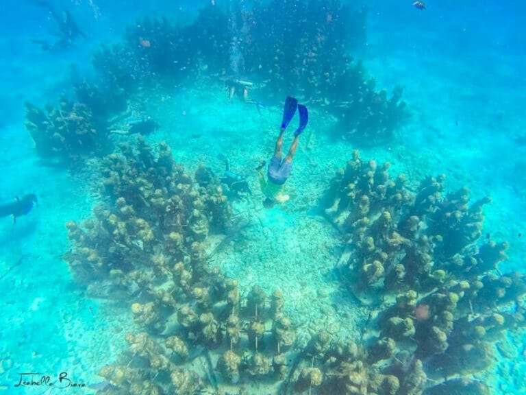 Cancun Underwater Museum (MUSA): How to Visit + Local Tips