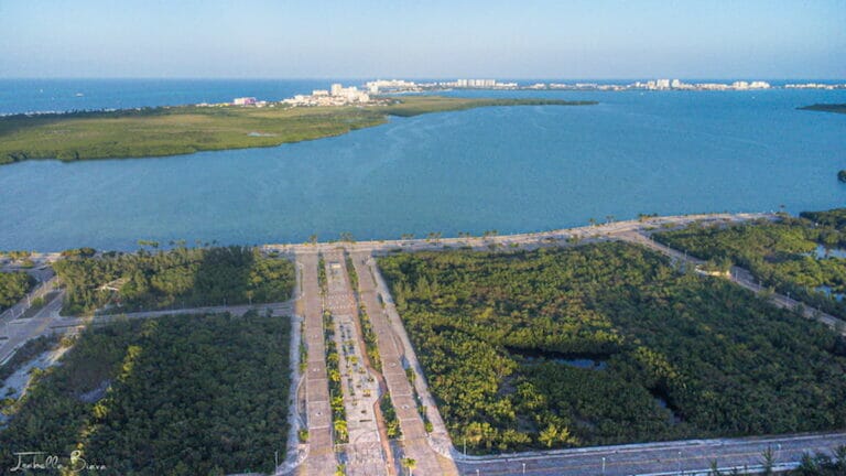 Hiking in Cancun: The Best 7 Trails to Walk in Nature