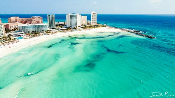 25 Species of animals in Cancun: Discover Mexico Wildlife