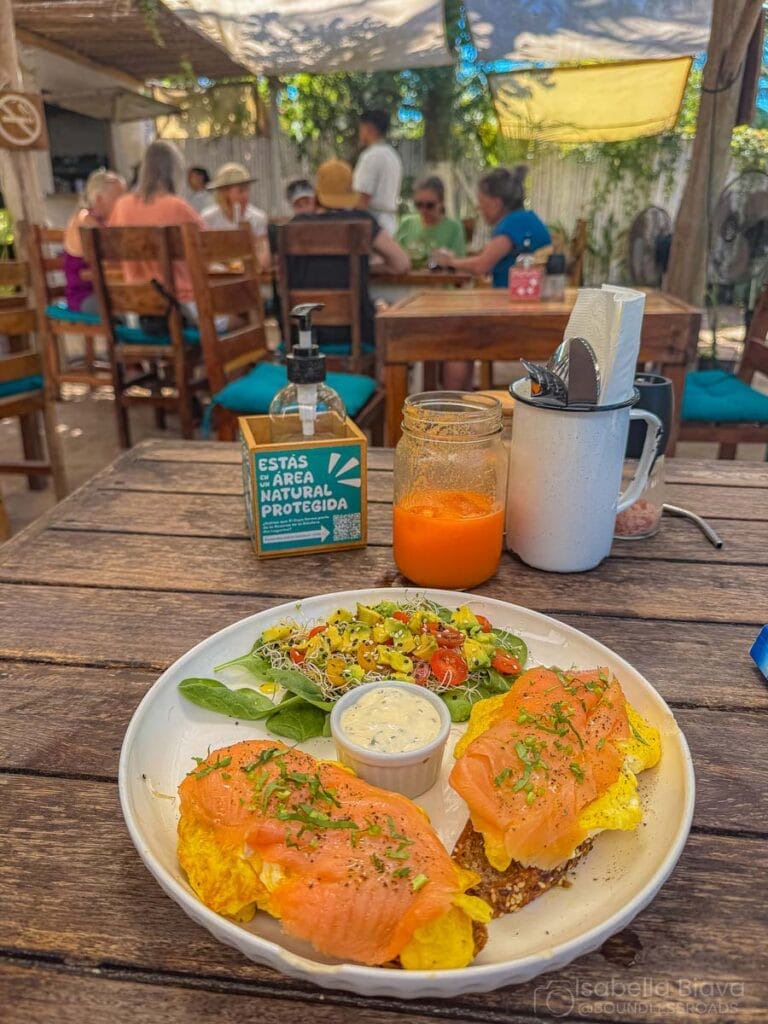 5 Reasons Why El Cuyo Yucatan Must Be in Your Mexico Bucket List of ...