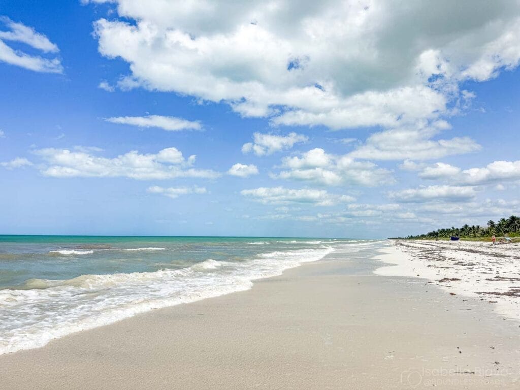 5 Reasons Why El Cuyo Yucatan Must Be in Your Mexico Bucket List of ...